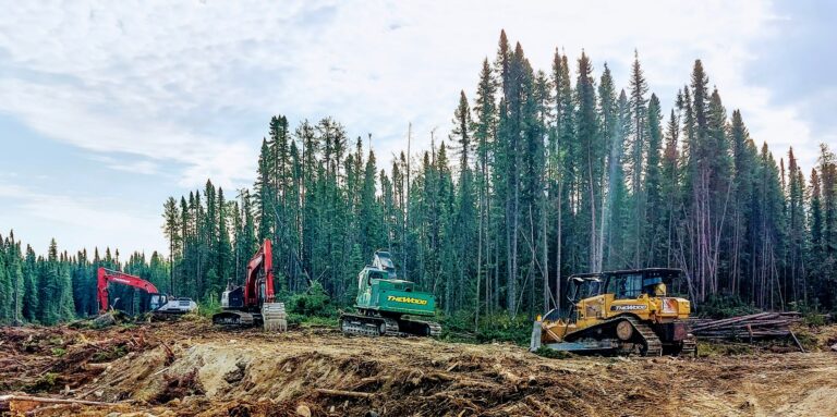 Construction de chemins forestiers - Les notions essentielles - LBprofor