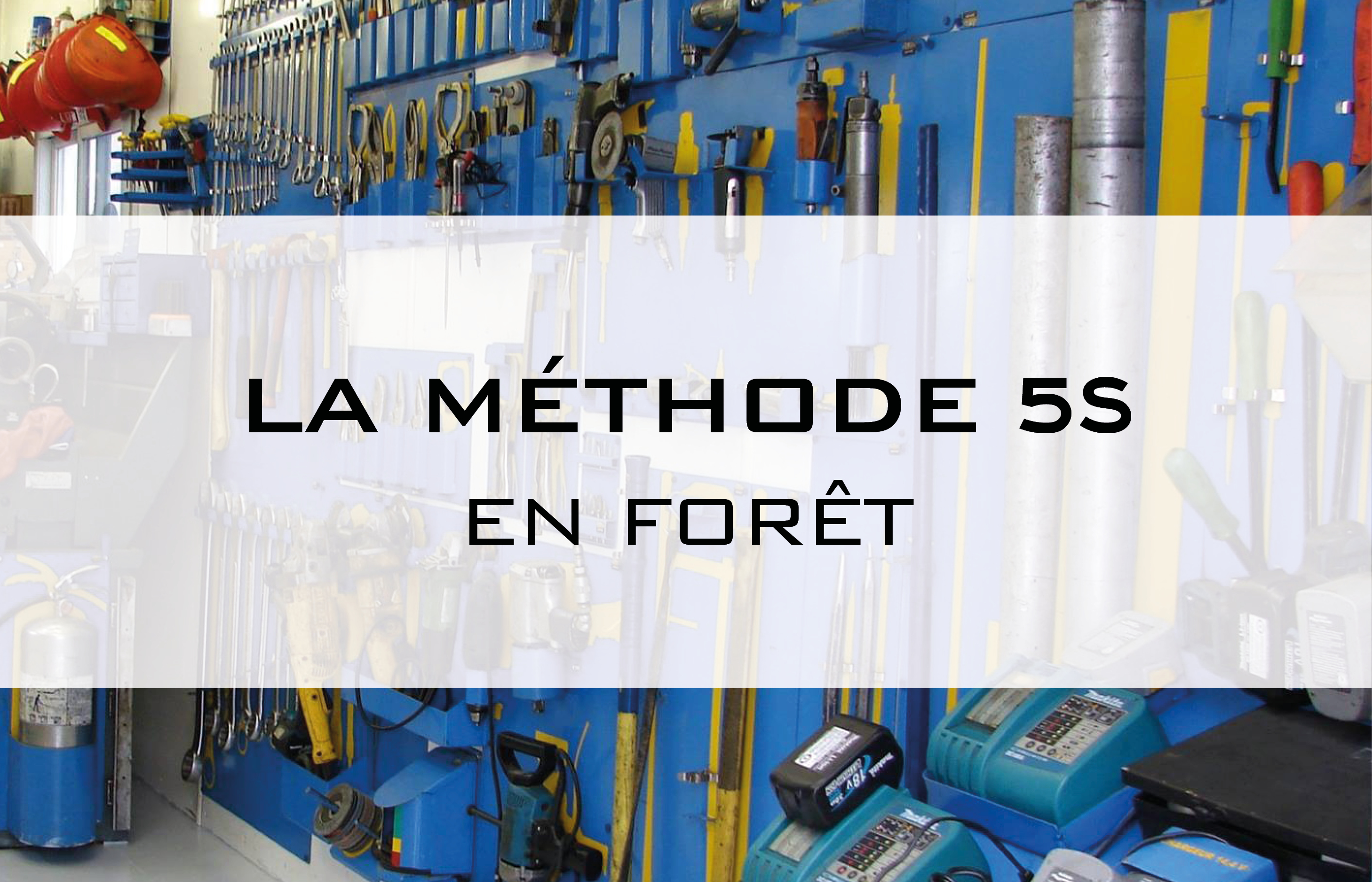 La méthode 5S en forêt - LBprofor